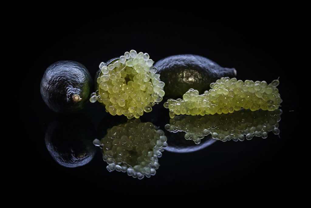 Finger Lime - Nalans Citrus