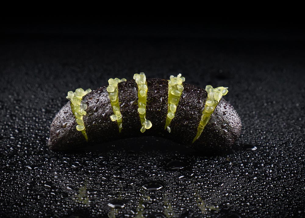 Finger Lime - Nalans Citrus